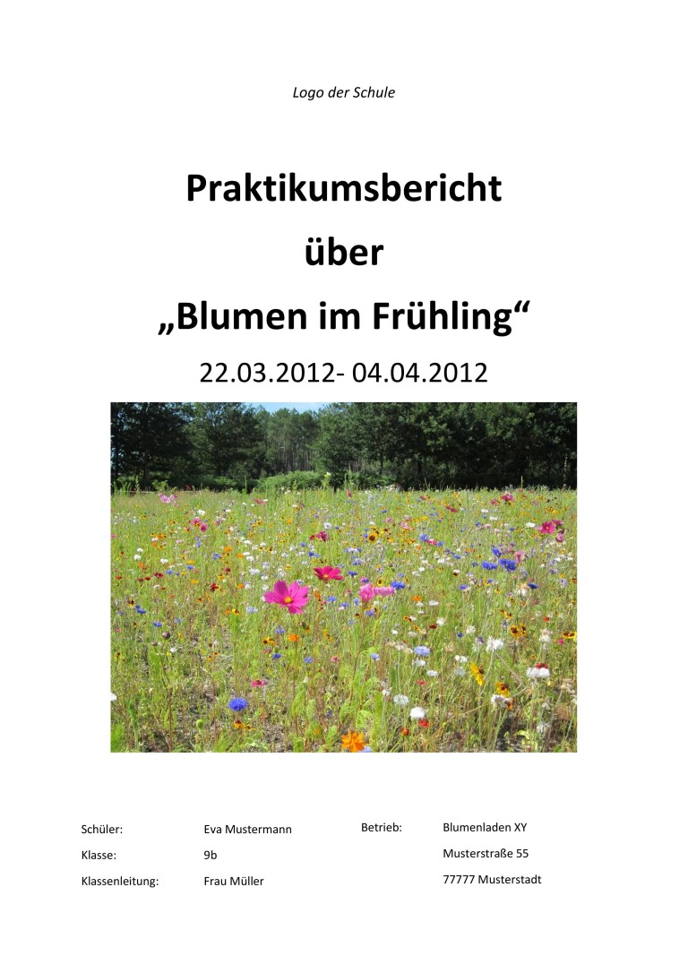 Praktikumsbericht Deckblatt - Praktikumsberichte